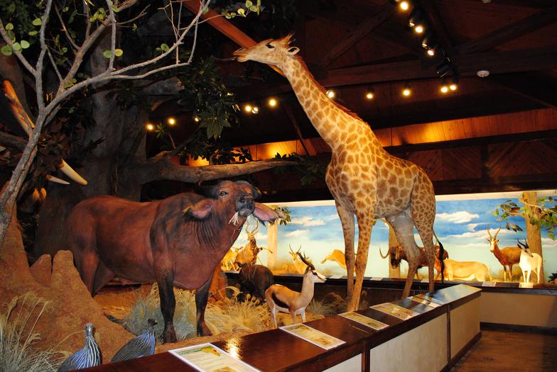 25 Best & Fun Things to Do in Sherman, TX – Touristchief