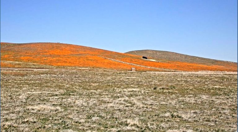 22 Best & Fun Things to Do in Lancaster, CA – Touristchief