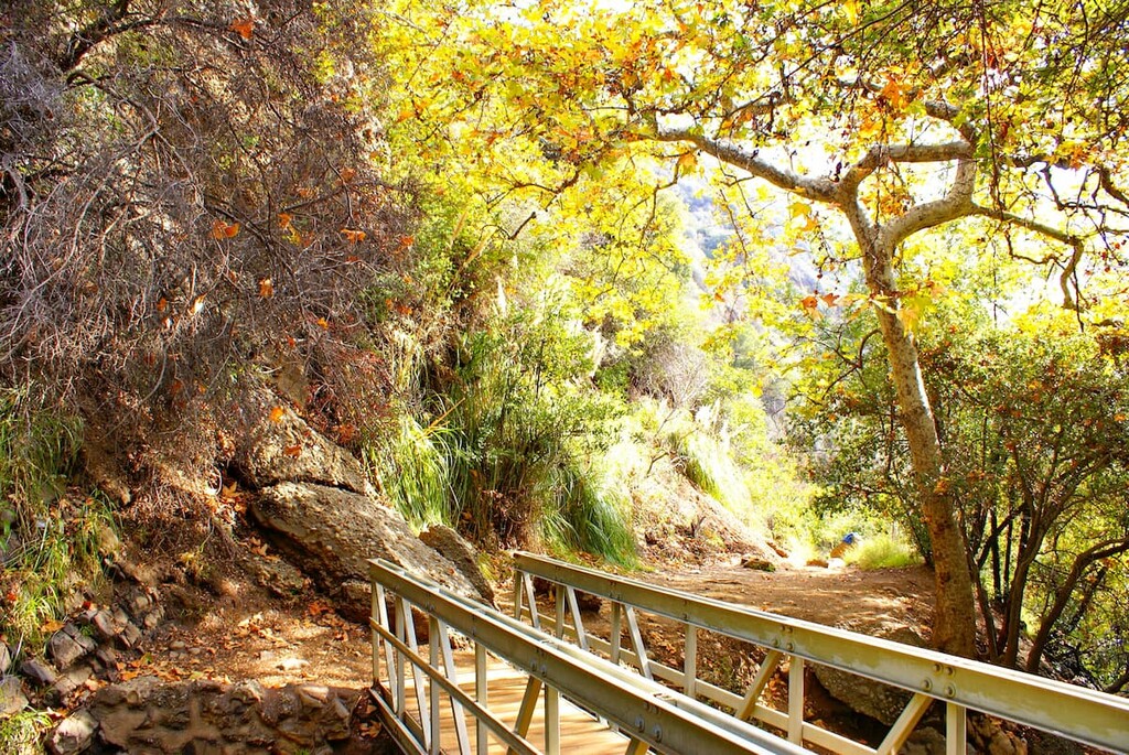 21 Best & Fun Things to Do in Topanga, CA – Touristchief