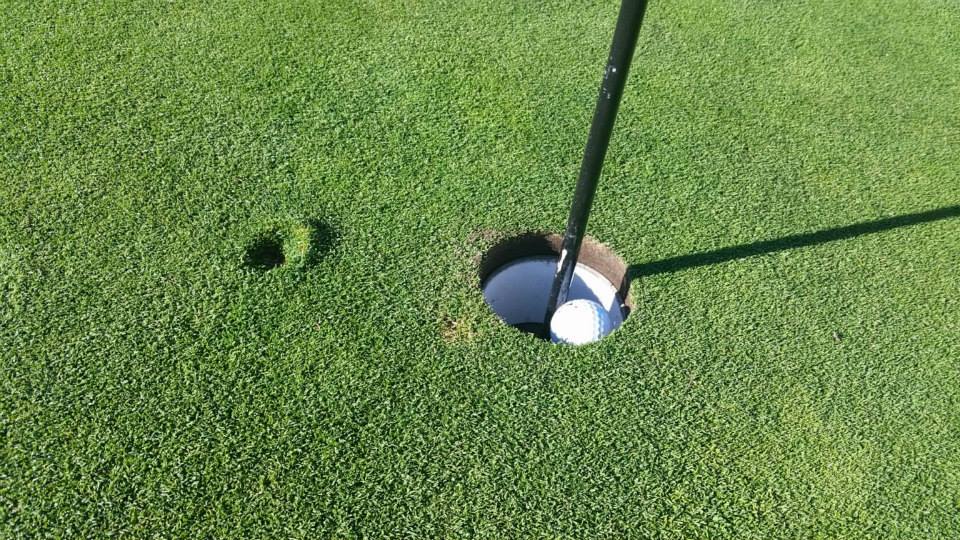 22 Best & Fun Things to Do in Novato, CA – Touristchief