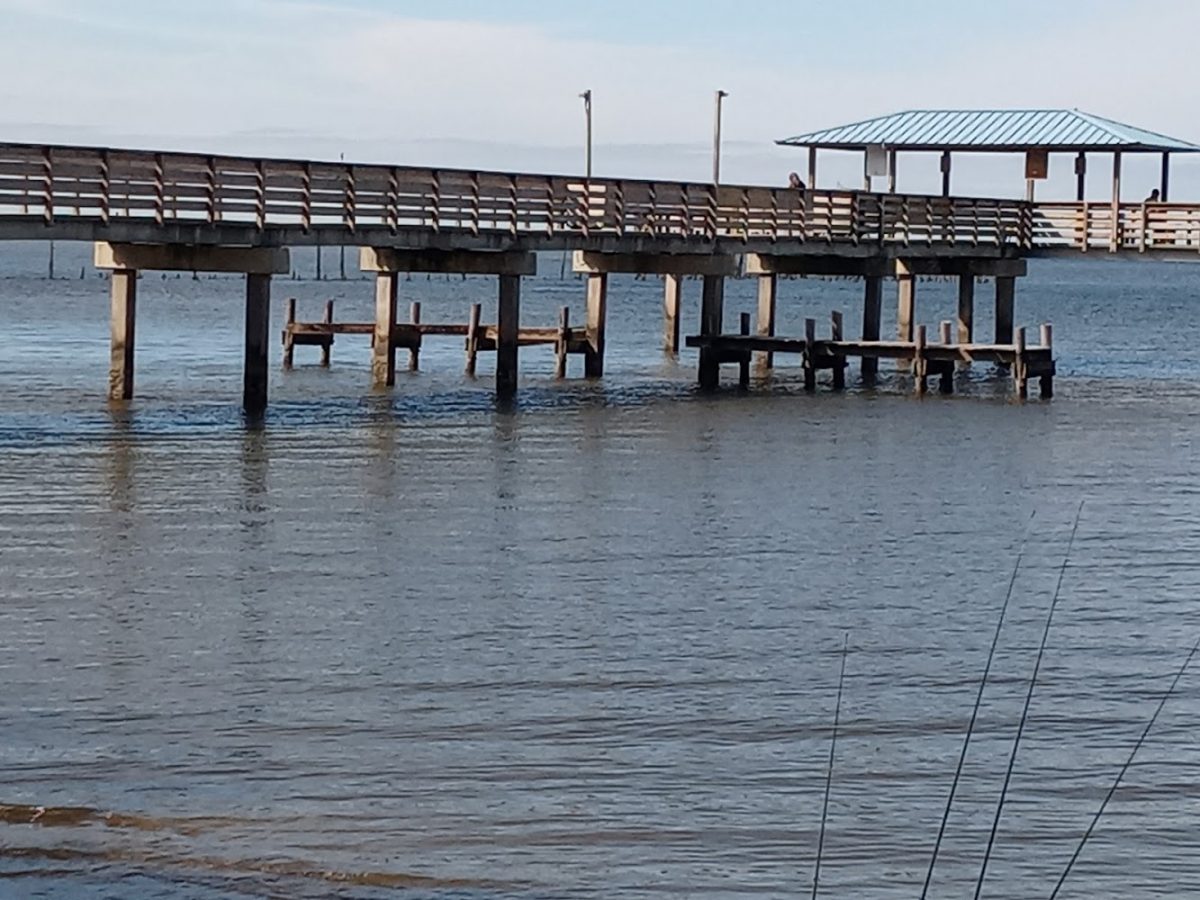 20 Best & Fun Things to Do in Daphne, AL – Touristchief