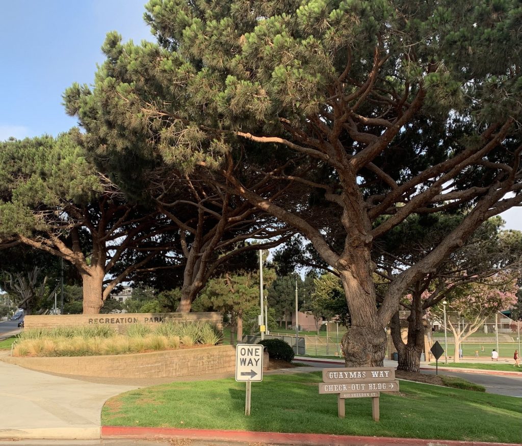 21 Best & Fun Things to Do in El Segundo, California – Touristchief