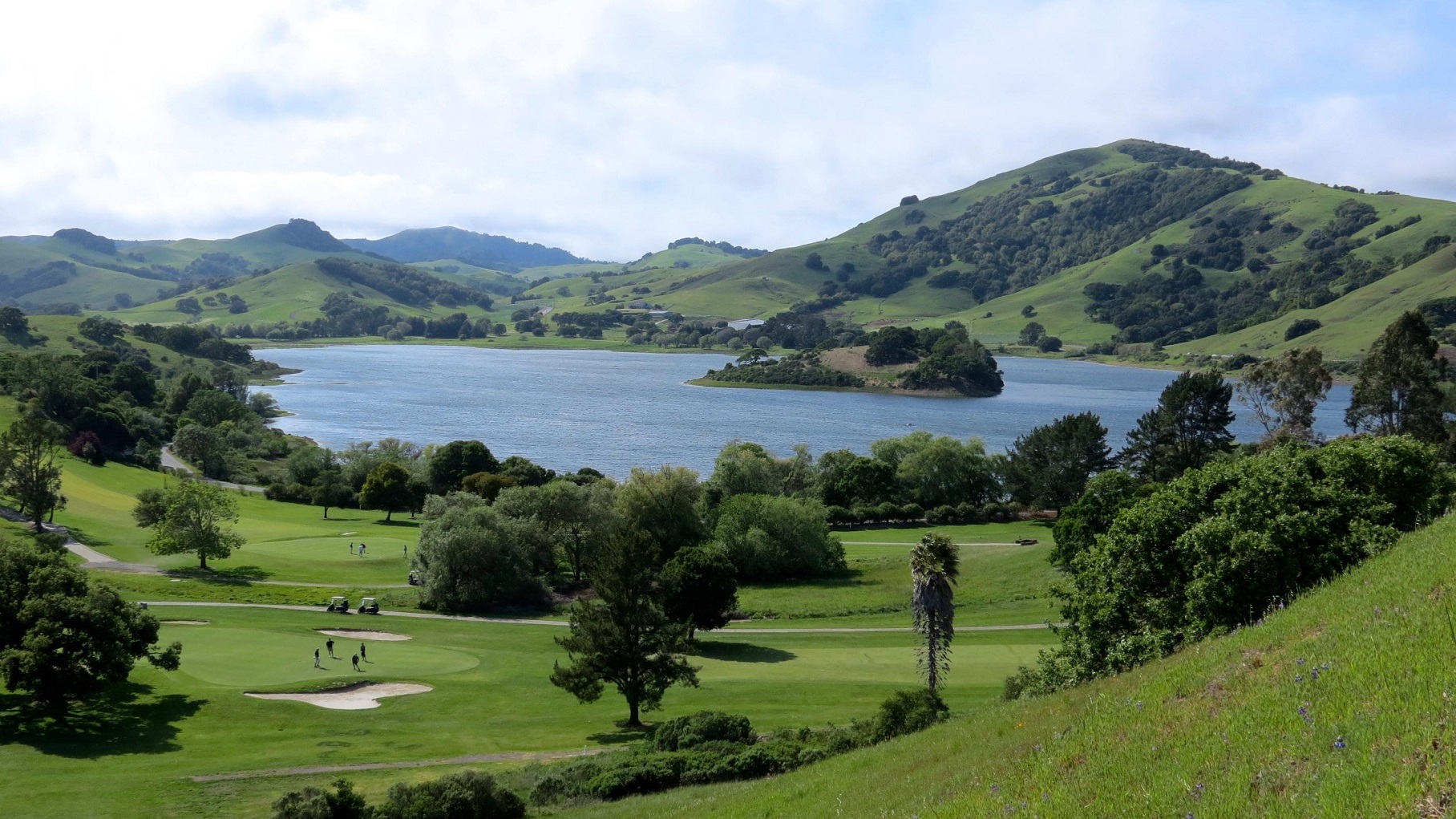 22 Best & Fun Things to Do in Novato, CA – Touristchief