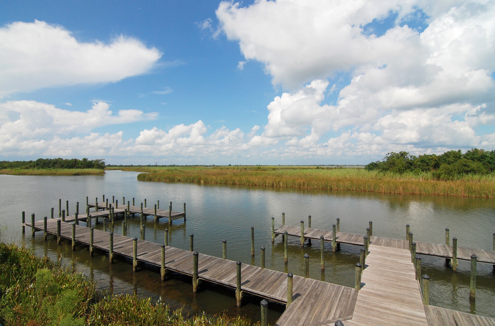 20 Best & Fun Things to Do in Daphne, AL – Touristchief