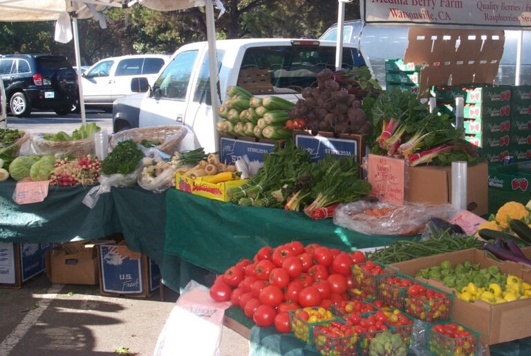 17 Best & Fun Things to Do in Cupertino, CA – Touristchief