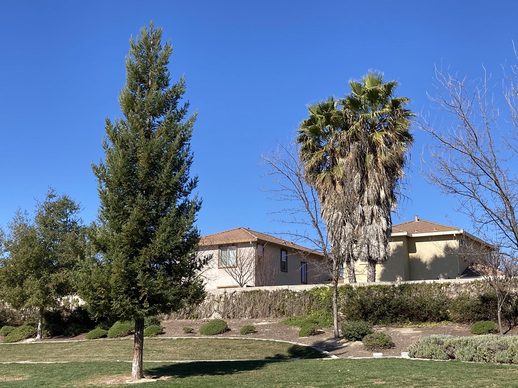 23 Best & Fun Things to Do in Merced, CA – Touristchief