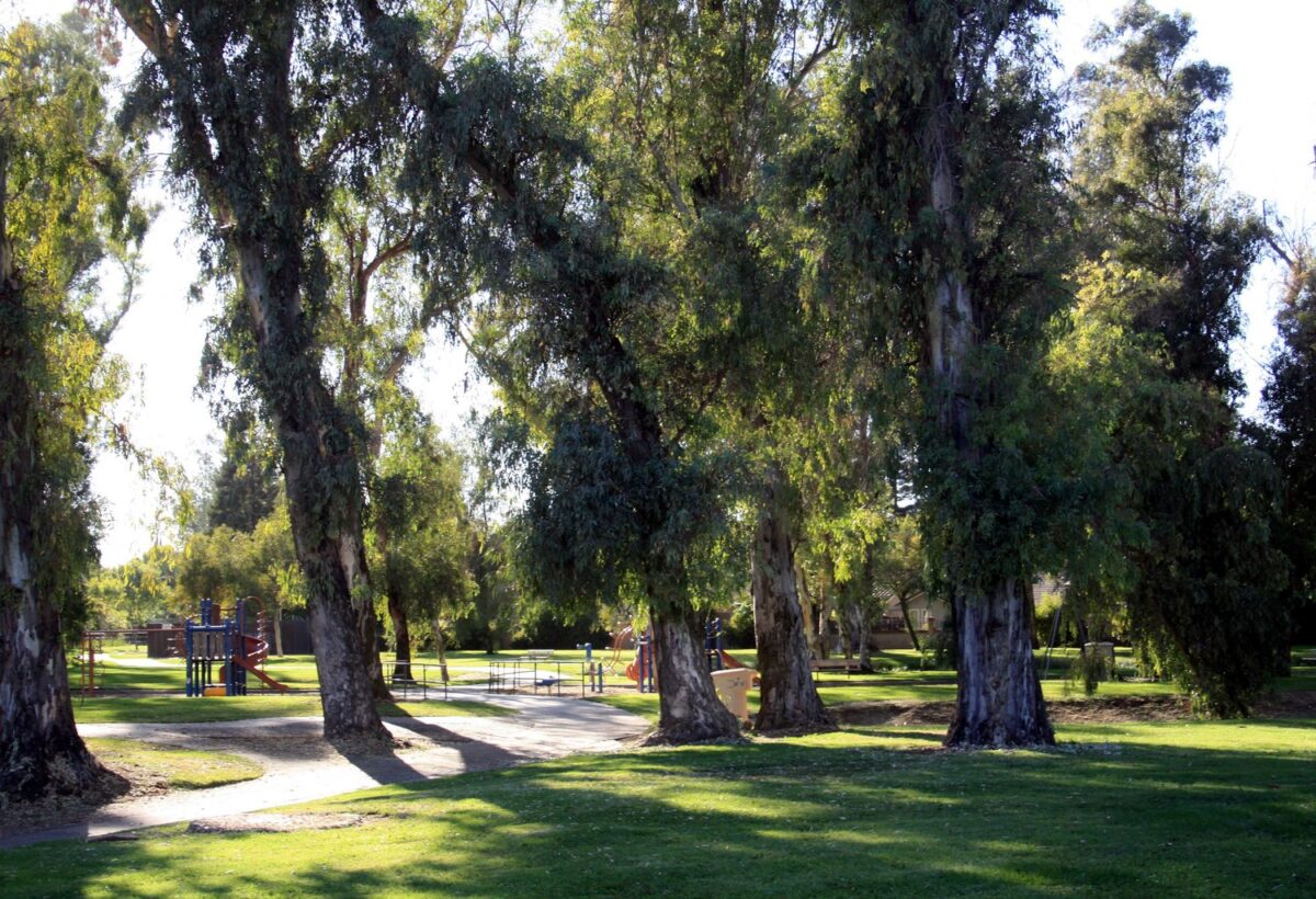 23 Best & Fun Things to Do in Merced, CA – Touristchief