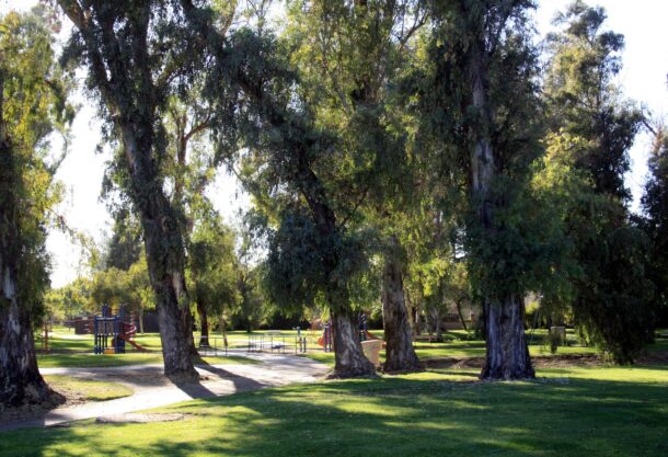 23 Best & Fun Things to Do in Merced, CA – Touristchief