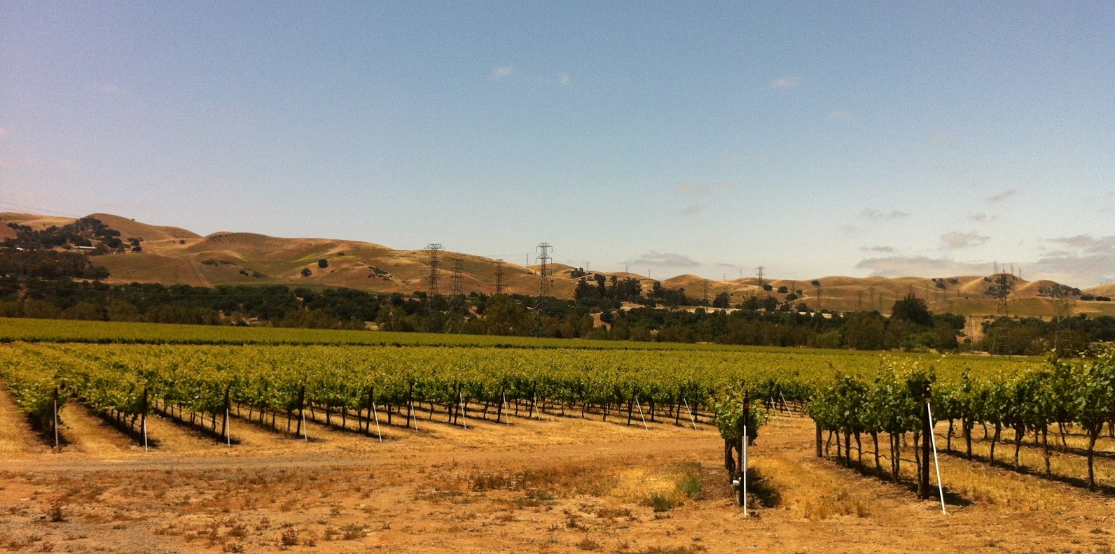 24 Best & Fun Things to Do in Livermore, CA – Touristchief