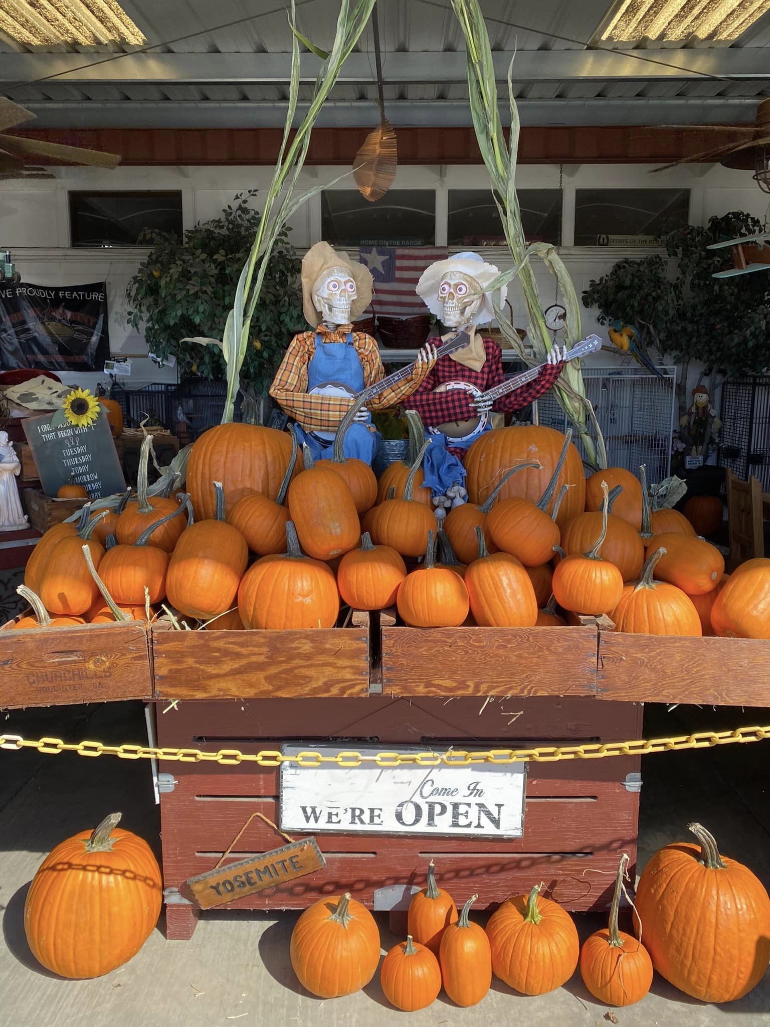 23 Best & Fun Things to Do in Merced, CA – Touristchief