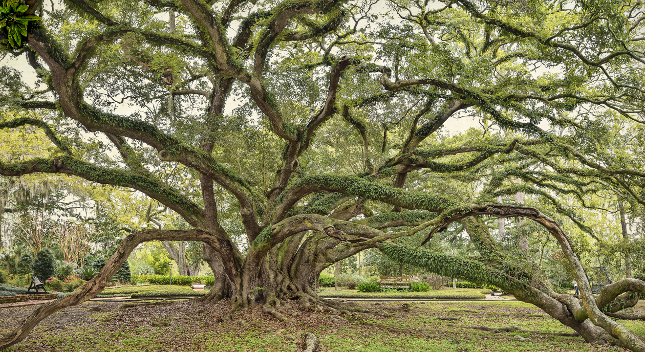 15 Best & Fun Things To Do In Hammond, LA | Touristchief