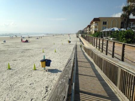 22 Best & Fun Things to Do in Apollo Beach – Touristchief