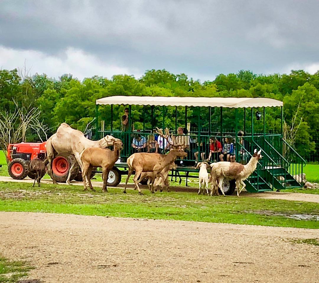 15 Best & Fun Things to Do in Arthur, IL – Touristchief