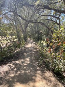 22 Best & Fun Things to Do in Gilroy, CA – Touristchief