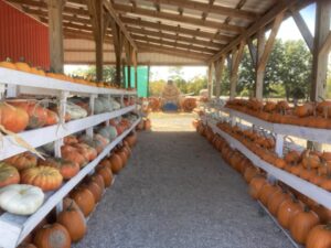 19 Best & Fun Things To Do In Poplar Bluff, MO | Touristchief