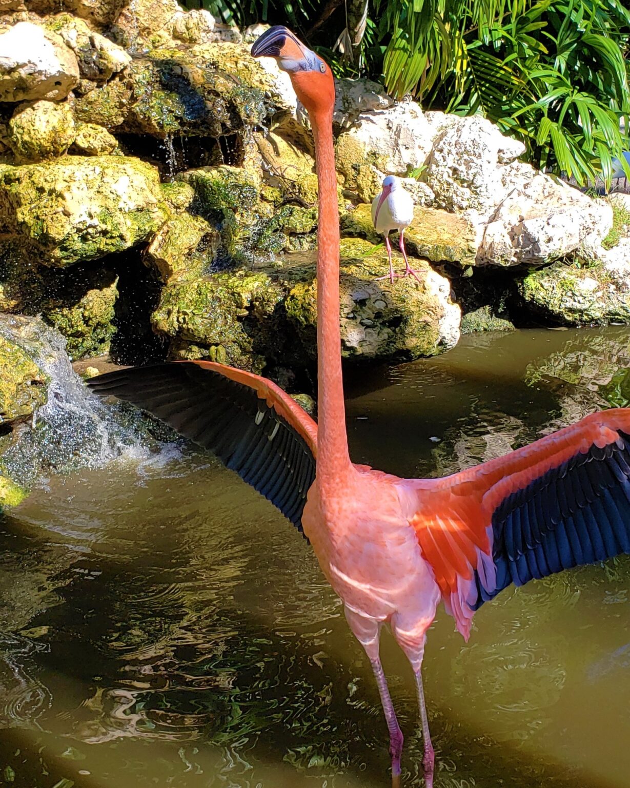 17 Best & Fun Things To Do In Weston, Florida | Touristchief