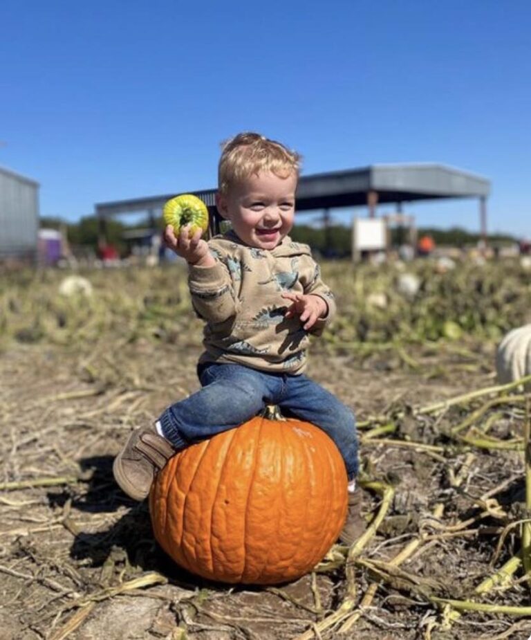 20 Best & Fun Things to Do in Artesia, NM – Touristchief