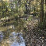 21 Best & Fun Things to Do in Fond Du Lac, Wisconsin – Touristchief