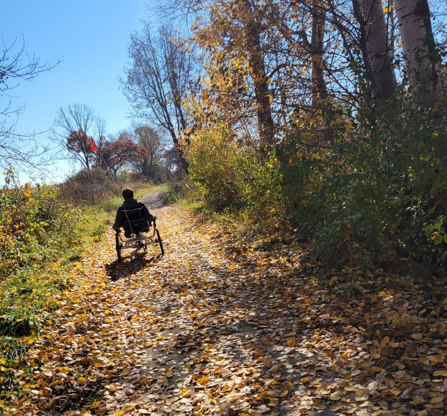 21 Best & Fun Things to Do in Fond Du Lac, Wisconsin – Touristchief