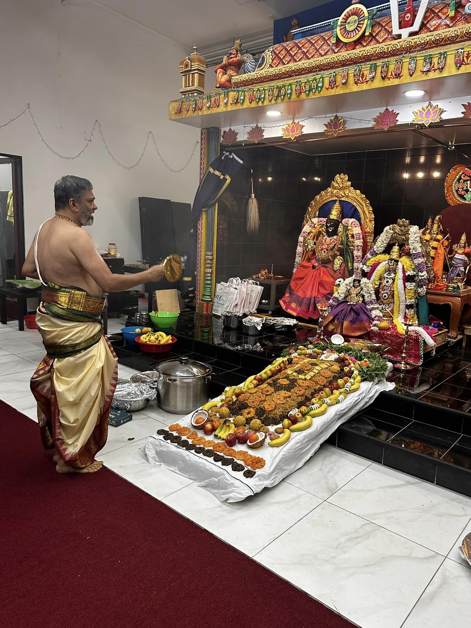 20 Best & Fun Things to Do in Novi, Michigan – Touristchief