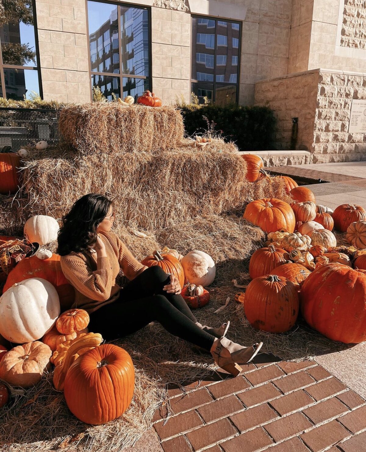 25 Best & Fun Things to Do in Sugar Land, TX – Touristchief