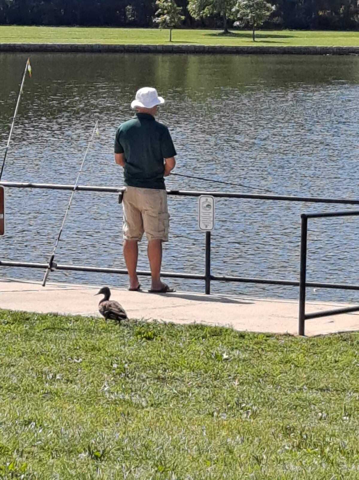 19 Best & Fun Things to Do in Leesburg, FL – Touristchief