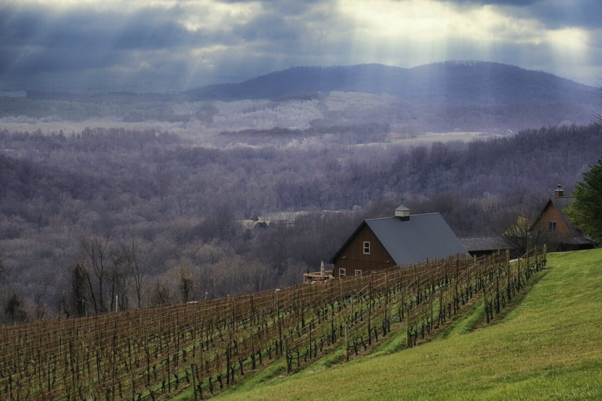 24 Best & Fun Things to Do in Front Royal, VA – Touristchief