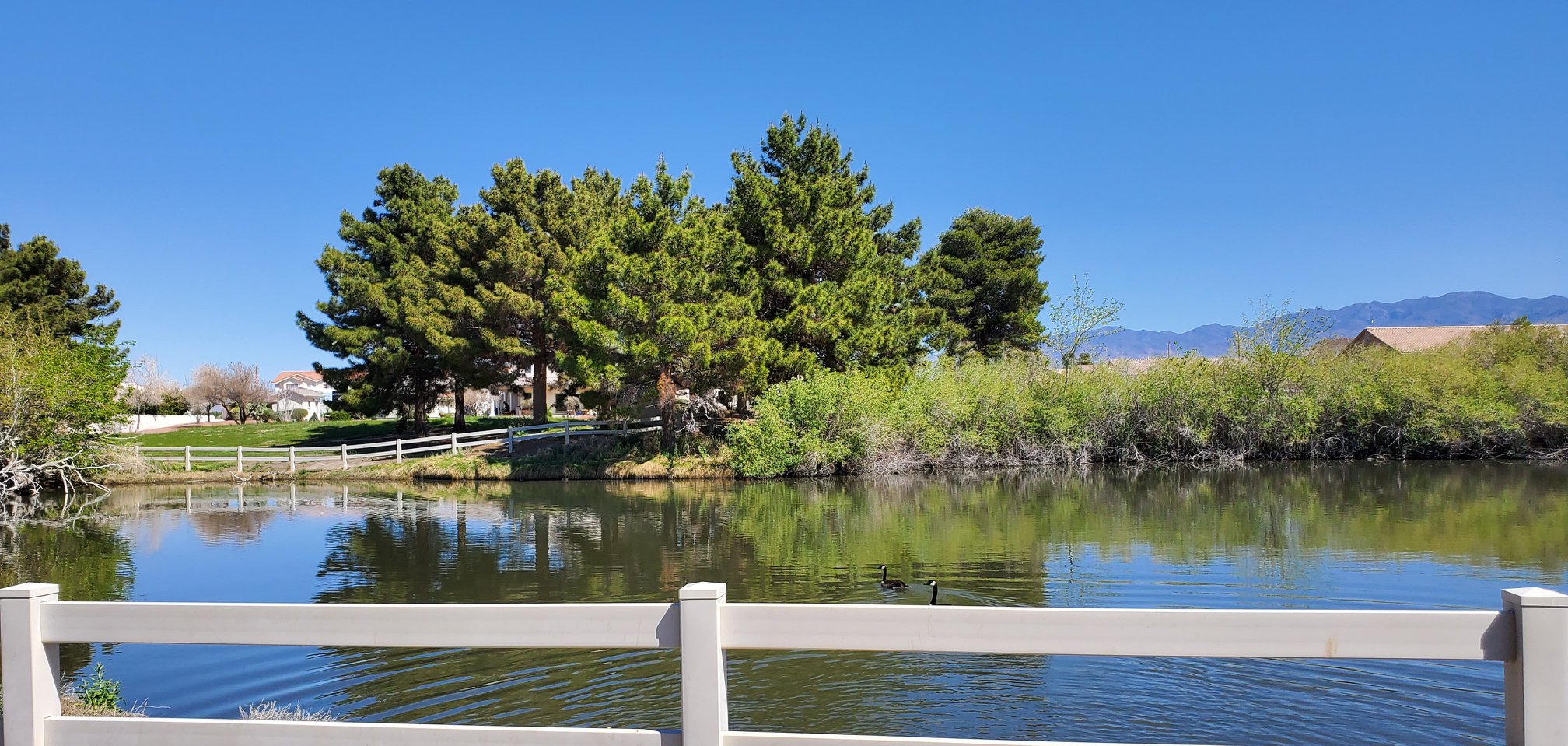 21 Best & Fun Things to Do in Pahrump, NV – Touristchief