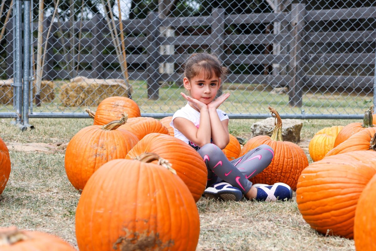 20 Best & Fun Things to Do in Carrollton, TX – Touristchief