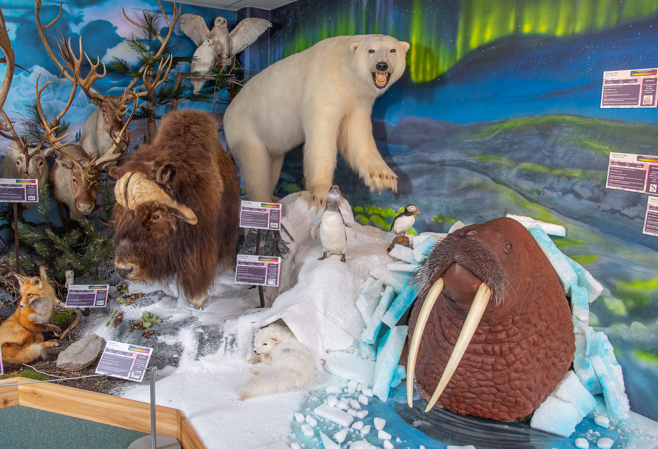 18 Best & Fun Things to Do in Big Rapids, MI – Touristchief