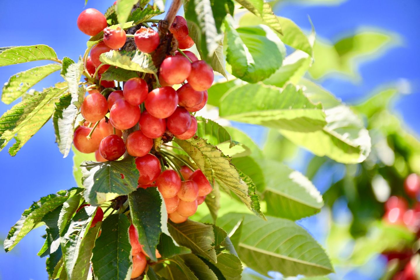 19 Best & Fun Things to Do in Beaumont, CA – Touristchief