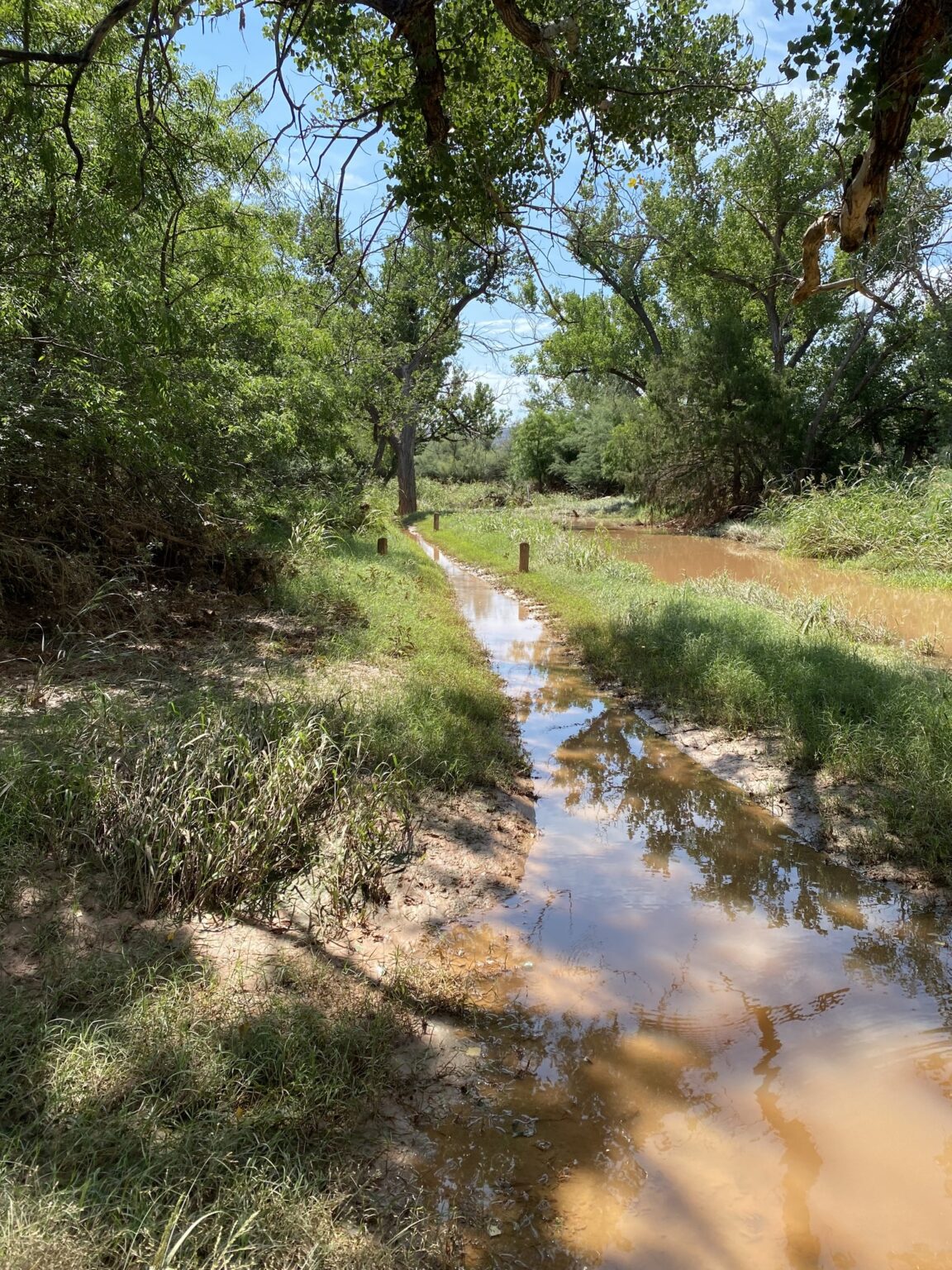 15 Best & Fun Things to Do in Canyon, TX – Touristchief