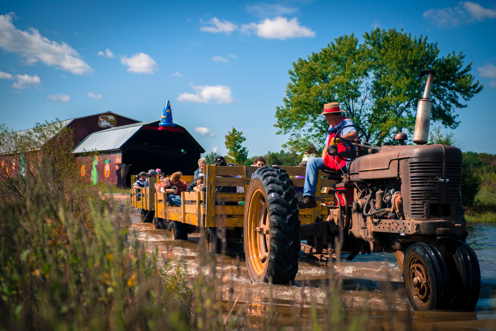 15 Best & Fun Things to Do in Centreville, VA – Touristchief