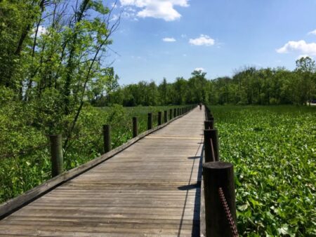 22 Best & Fun Things to Do in Chantilly, VA – Touristchief