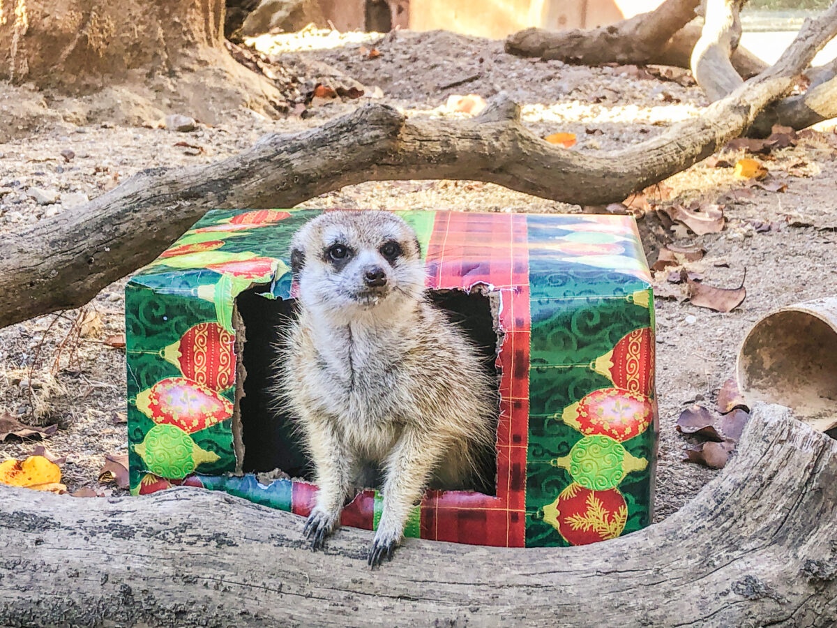 20 Best & Fun Things to Do in Atascadero, CA – Touristchief