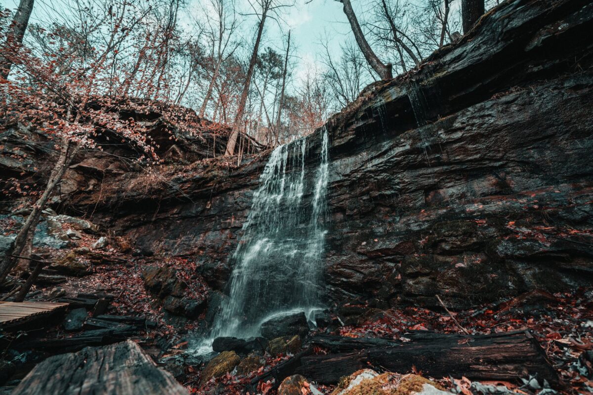 26 Best & Fun Things to Do in Cullman, AL – Touristchief