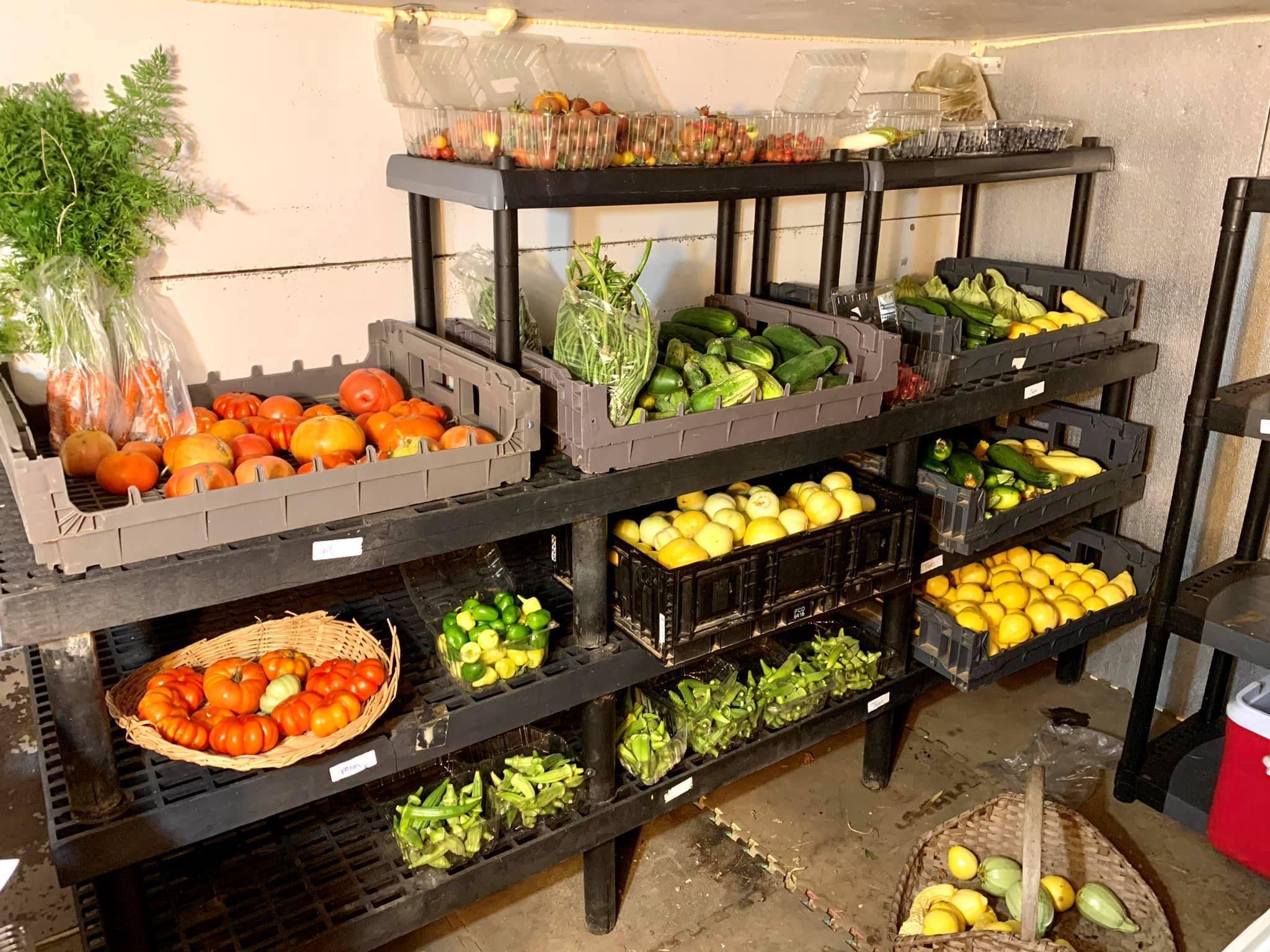 17 Best & Fun Things to Do in Clarkesville, GA – Touristchief