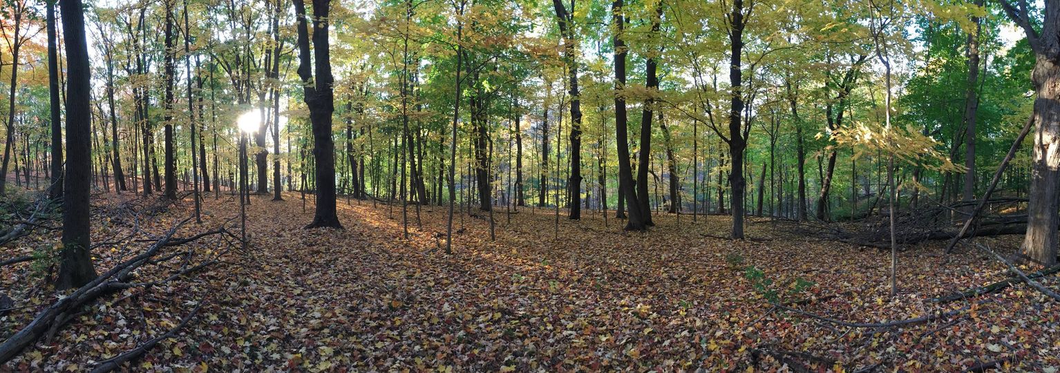 15 Best & Fun Things to Do in Edison, NJ – Touristchief